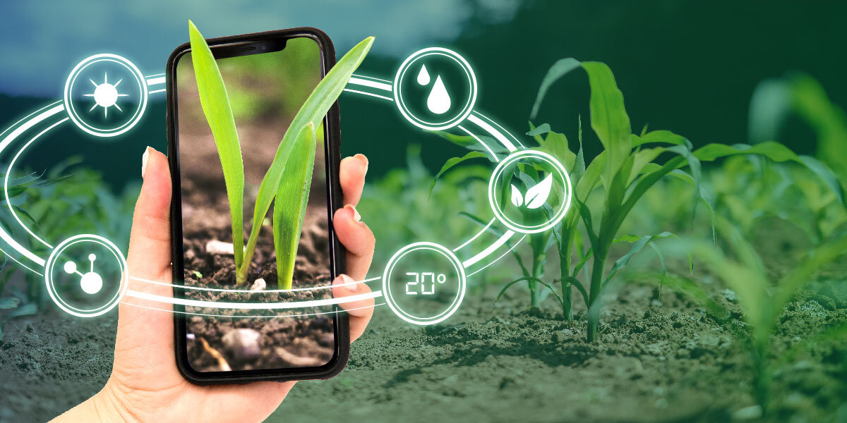 Digital Tools and Cellphone Apps in Food Production and Plant Disease ...